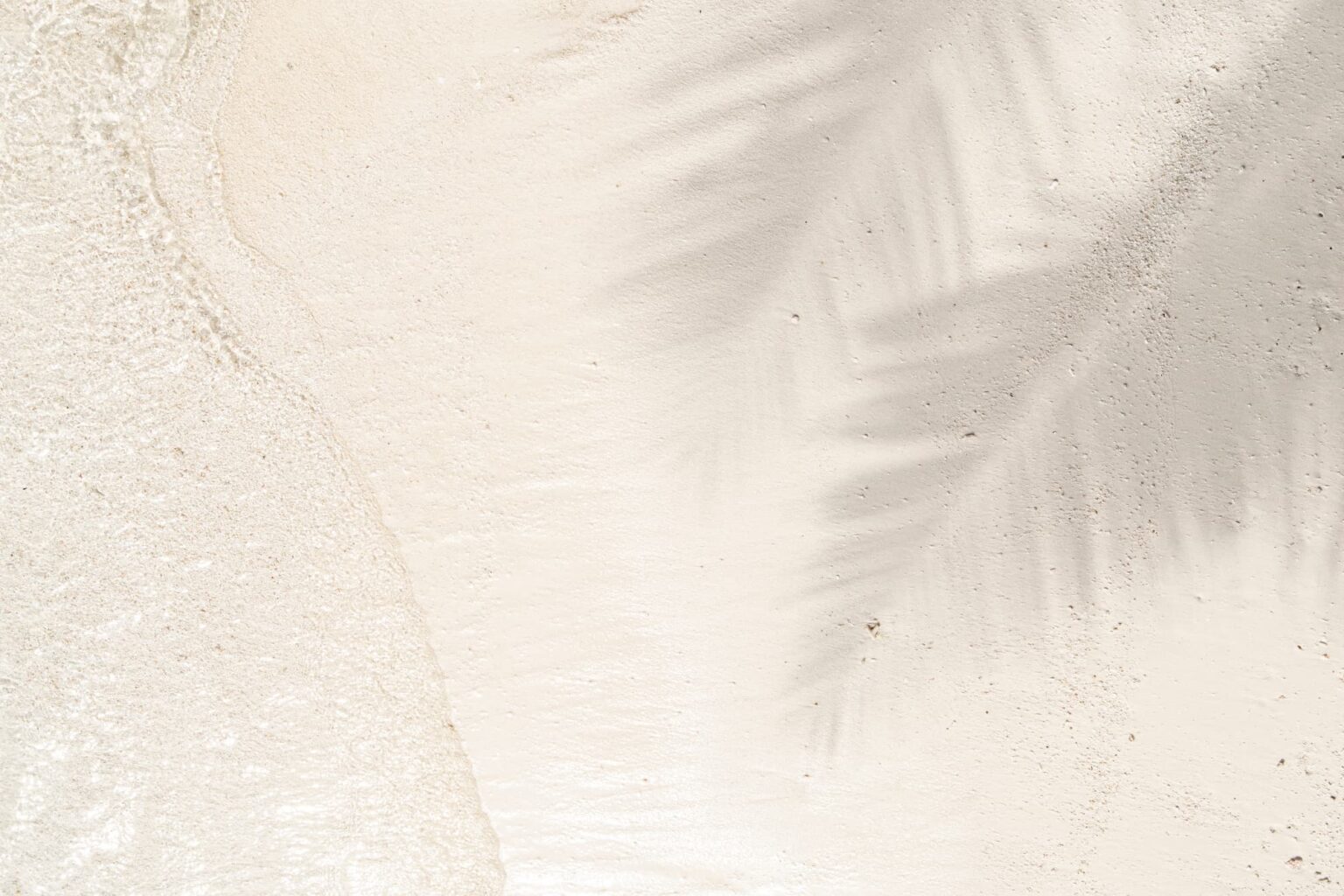 Everything You Need to Know About Venofer and Iron Infusions | Nervana ...